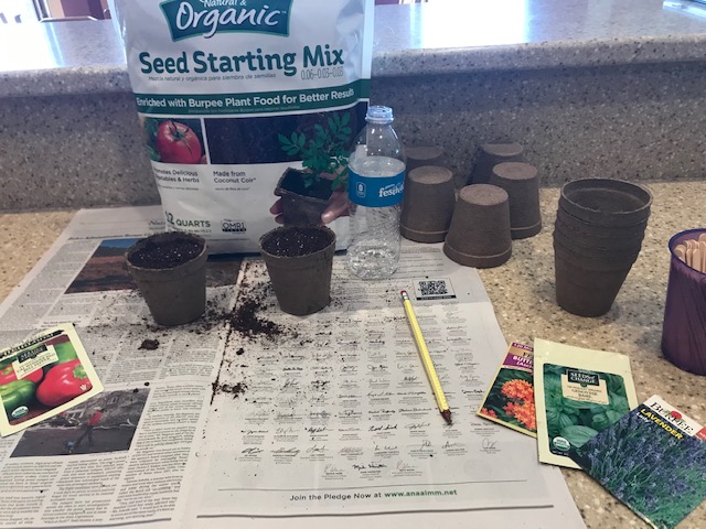 Equation Poems – The Apples in My Orchard