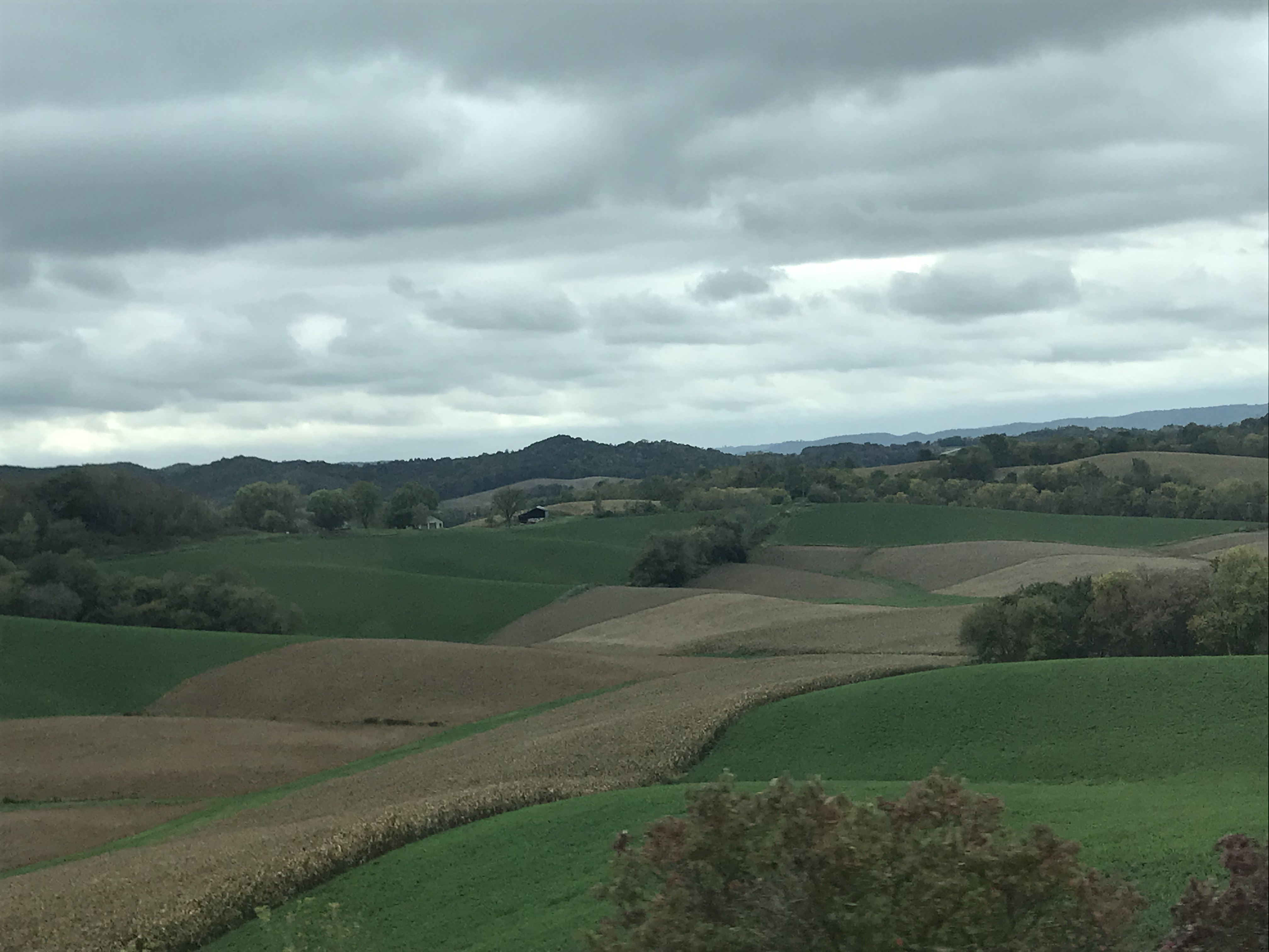 Poetry Friday: The Rut – The Apples in My Orchard