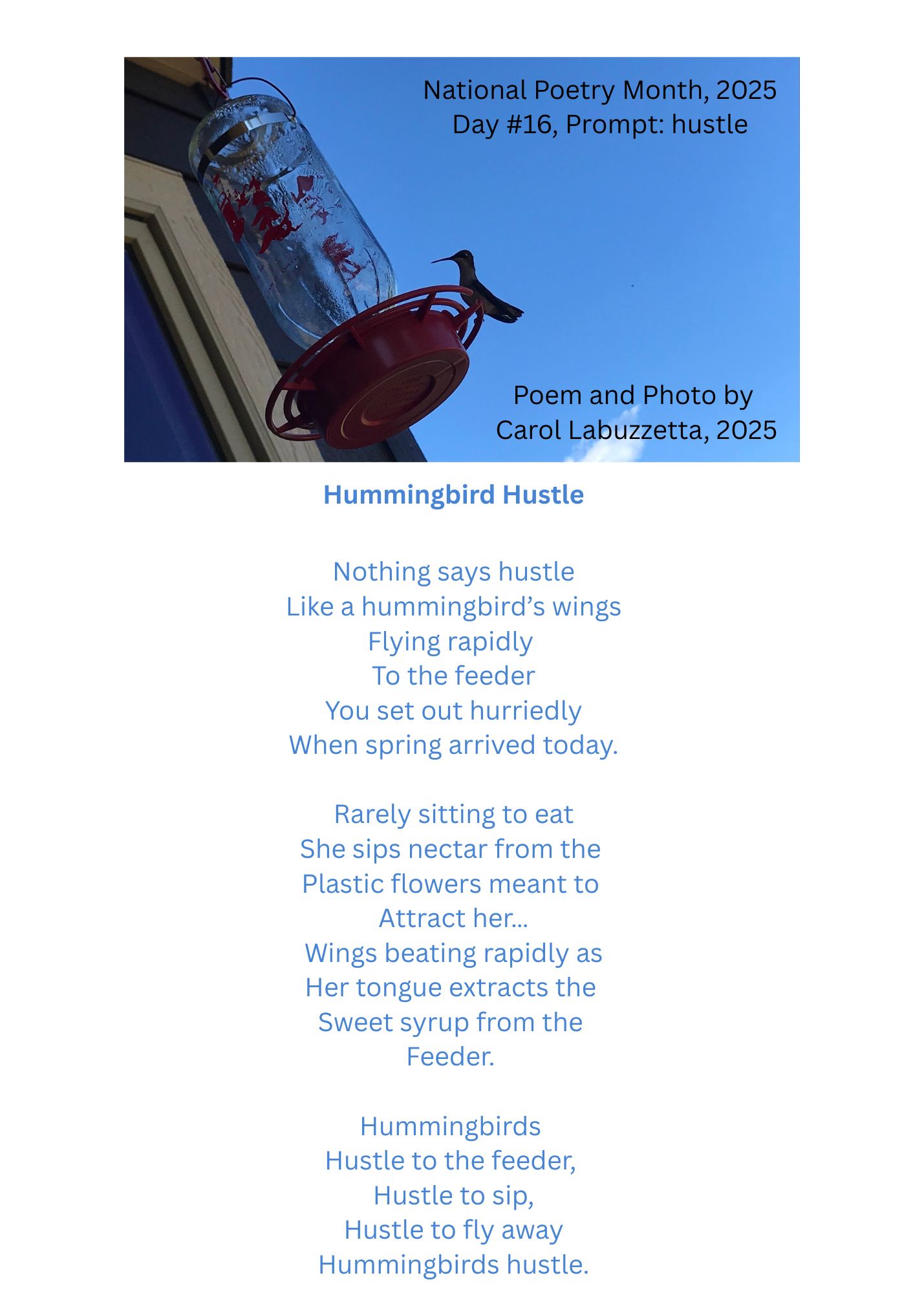 Hummingbird Hustle Poem for National Poetry Month, 2025, Day #16 – The ...