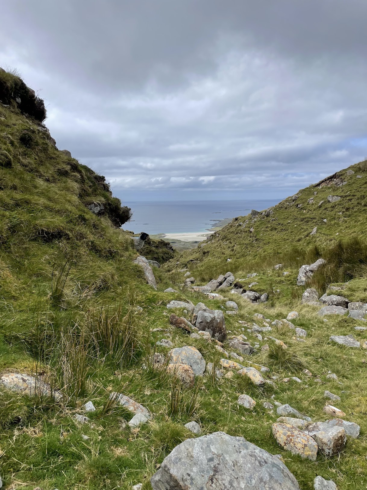 Verse of Ages Poetry Prompt for National Poetry Month on April 12, 2025 ...