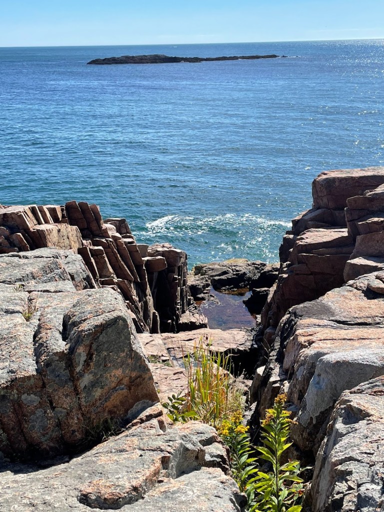 Silent Sunday: January’s Starting the Alphabet With Acadia – The Apples ...