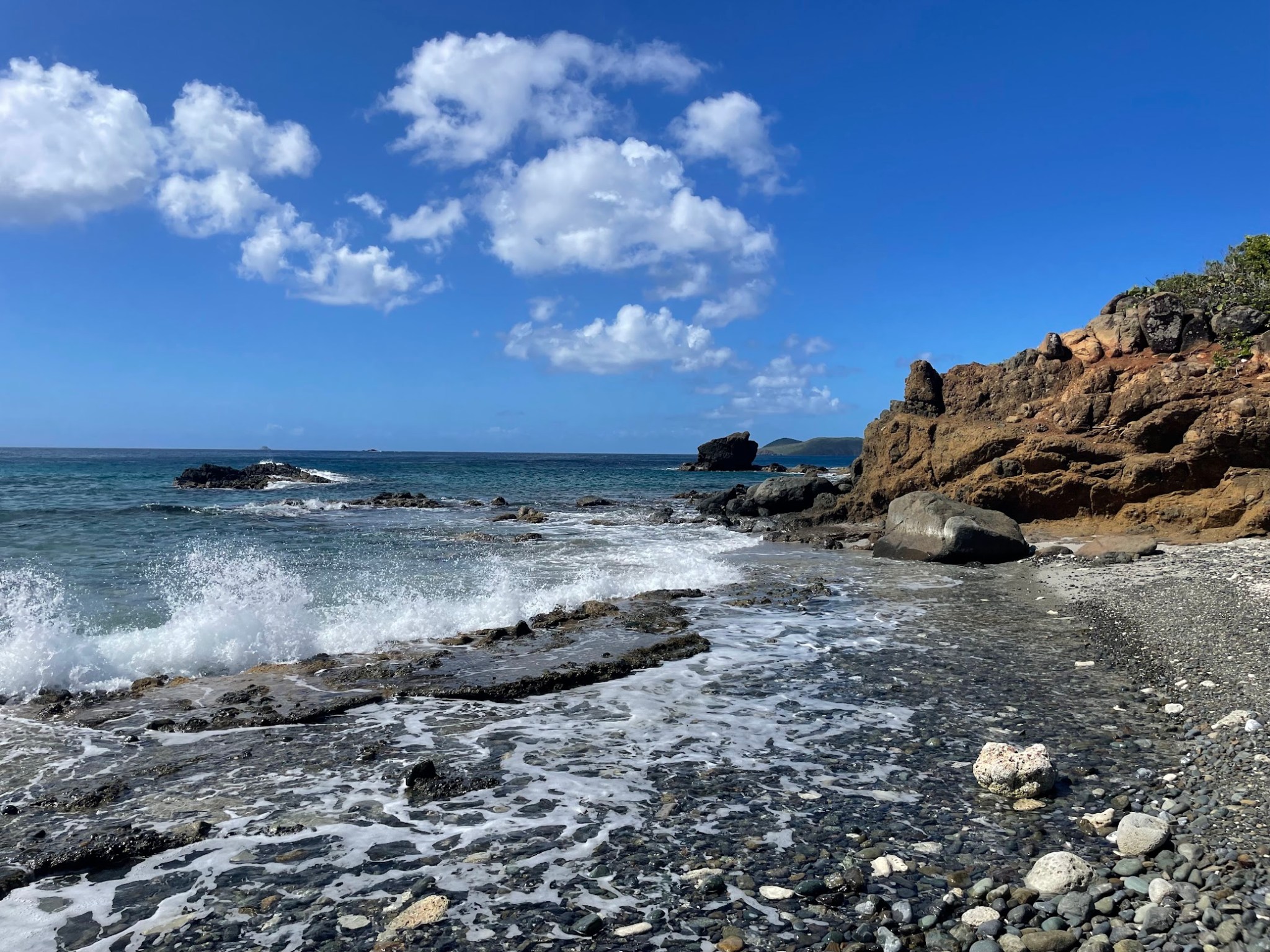 Poetry Friday: Contrasts & Color! – The Apples in My Orchard